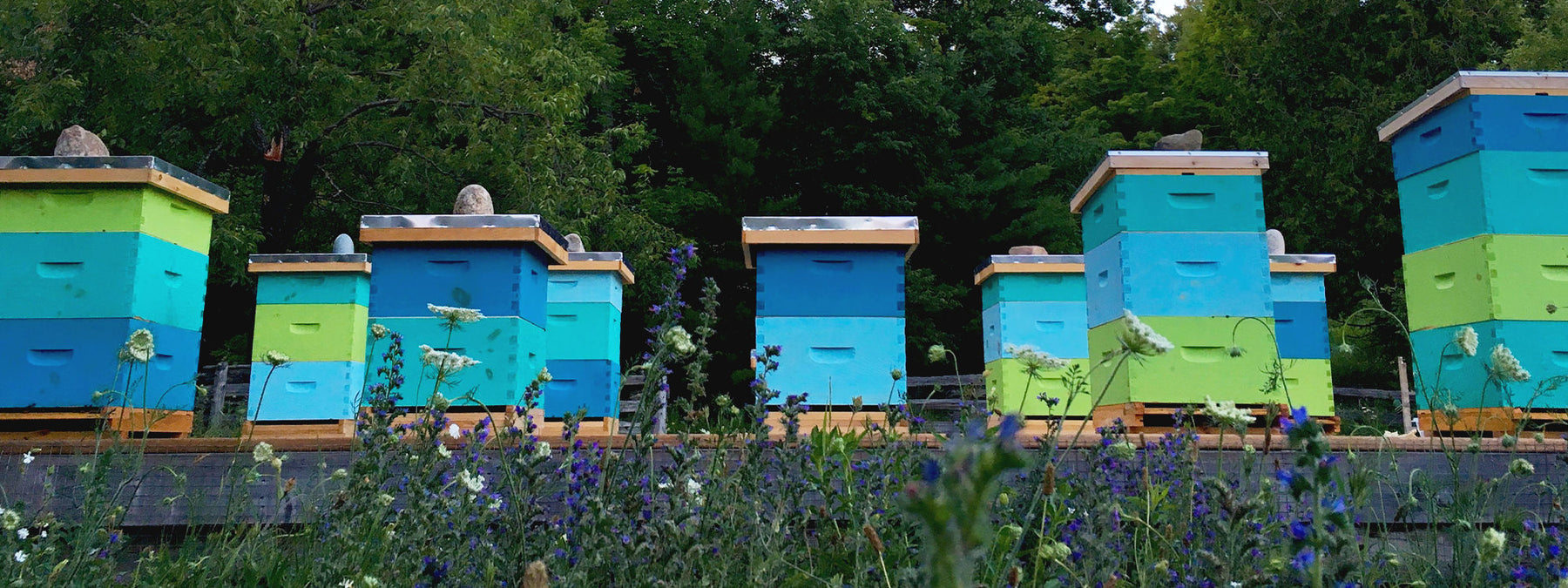 About Heritage Bee | Local Ontario Honey